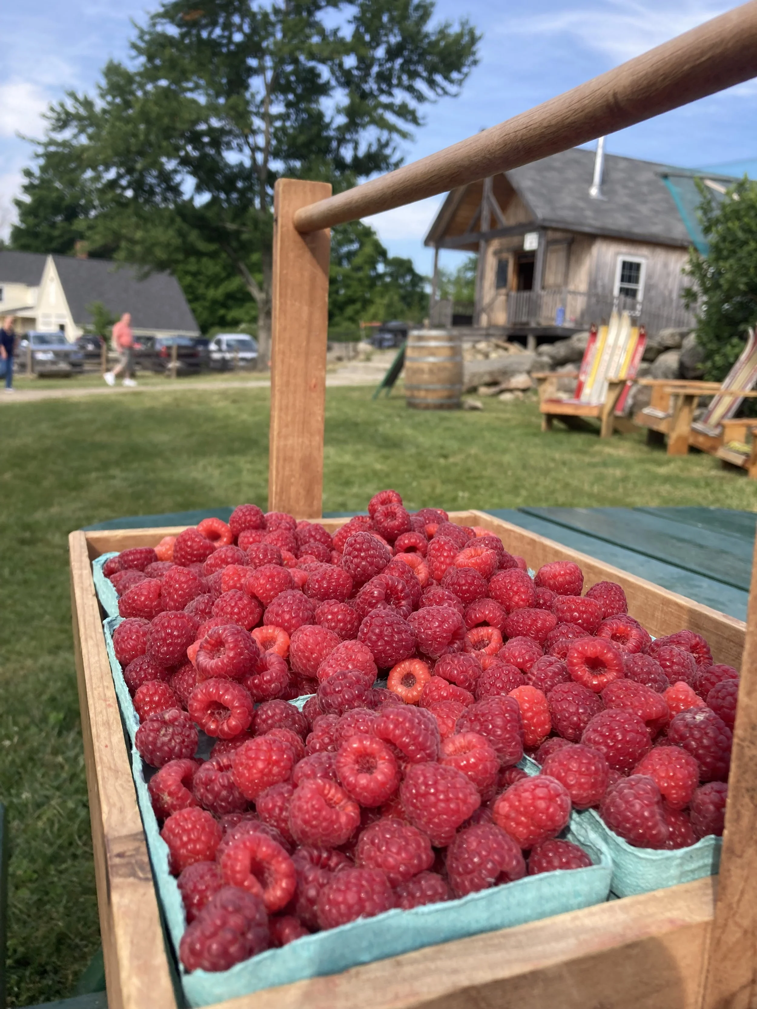 Butternut Farm - A Pick Your Own Fruit Farm
