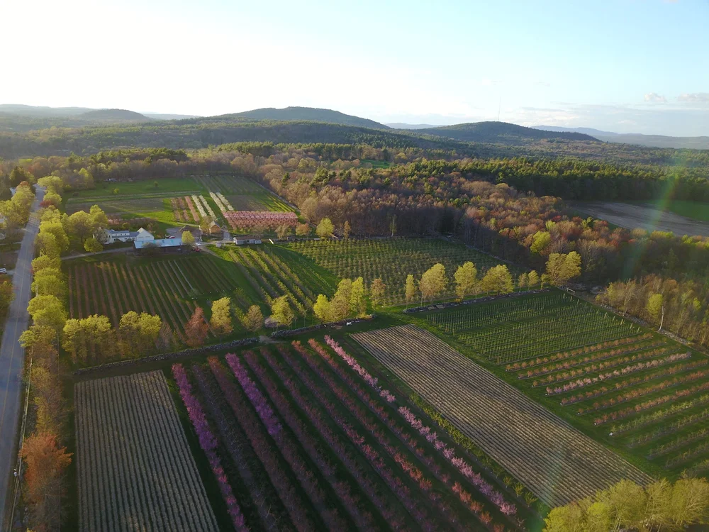 Butternut Farm - A Pick Your Own Fruit Farm
