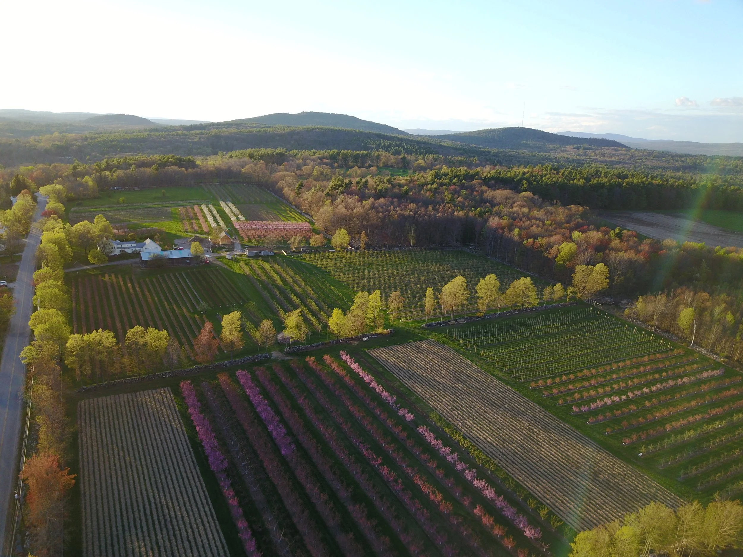 Butternut Farm - A Pick Your Own Fruit Farm