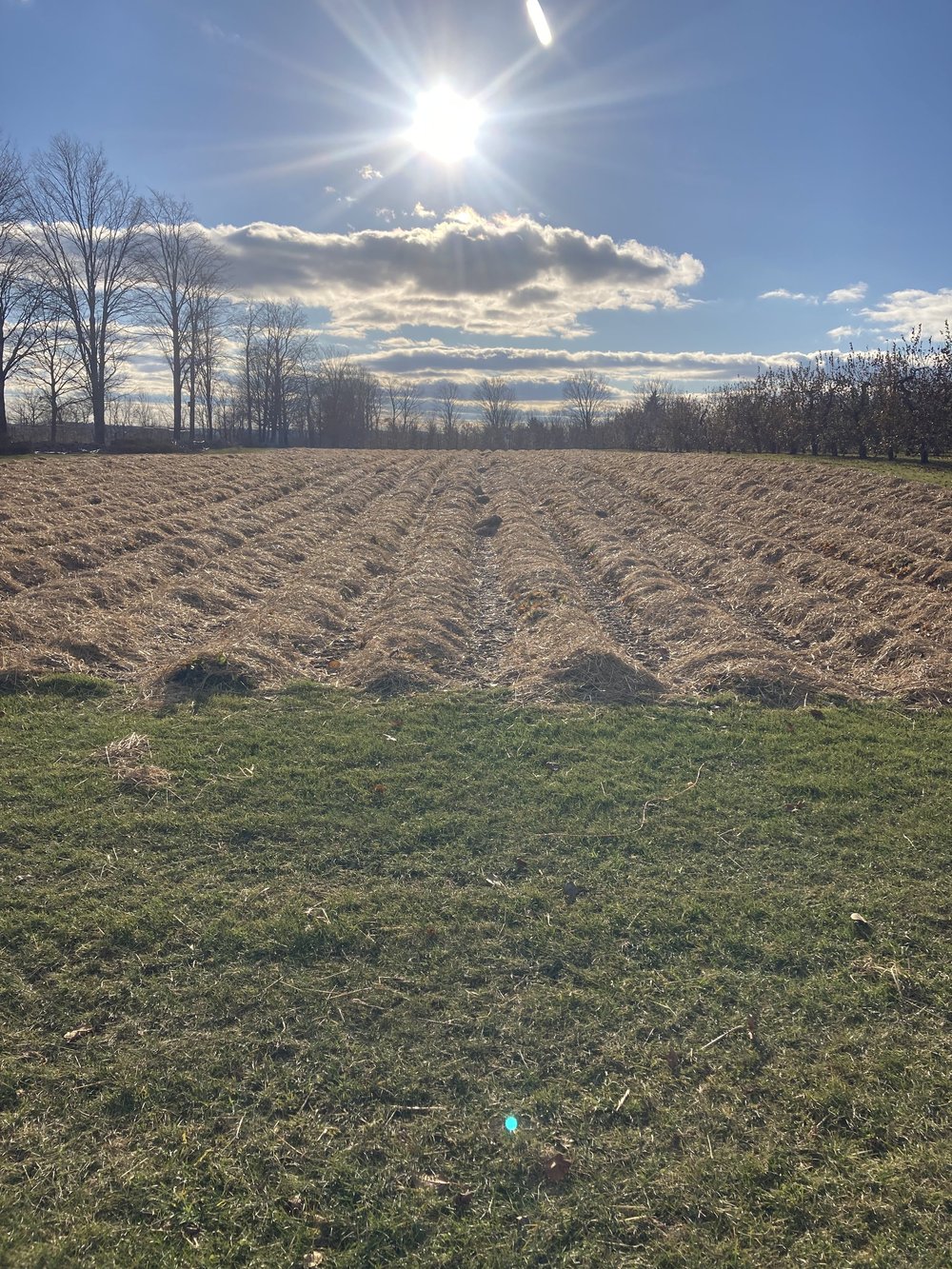 Butternut Farm - A Pick Your Own Fruit Farm