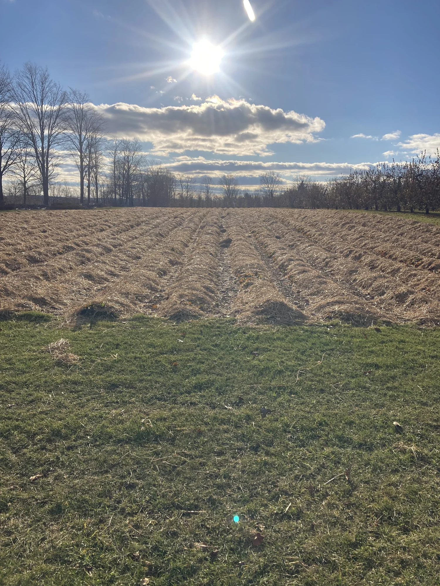 Butternut Farm - A Pick Your Own Fruit Farm