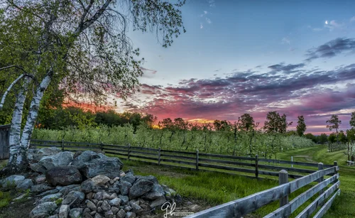 Butternut Farm - A Pick Your Own Fruit Farm