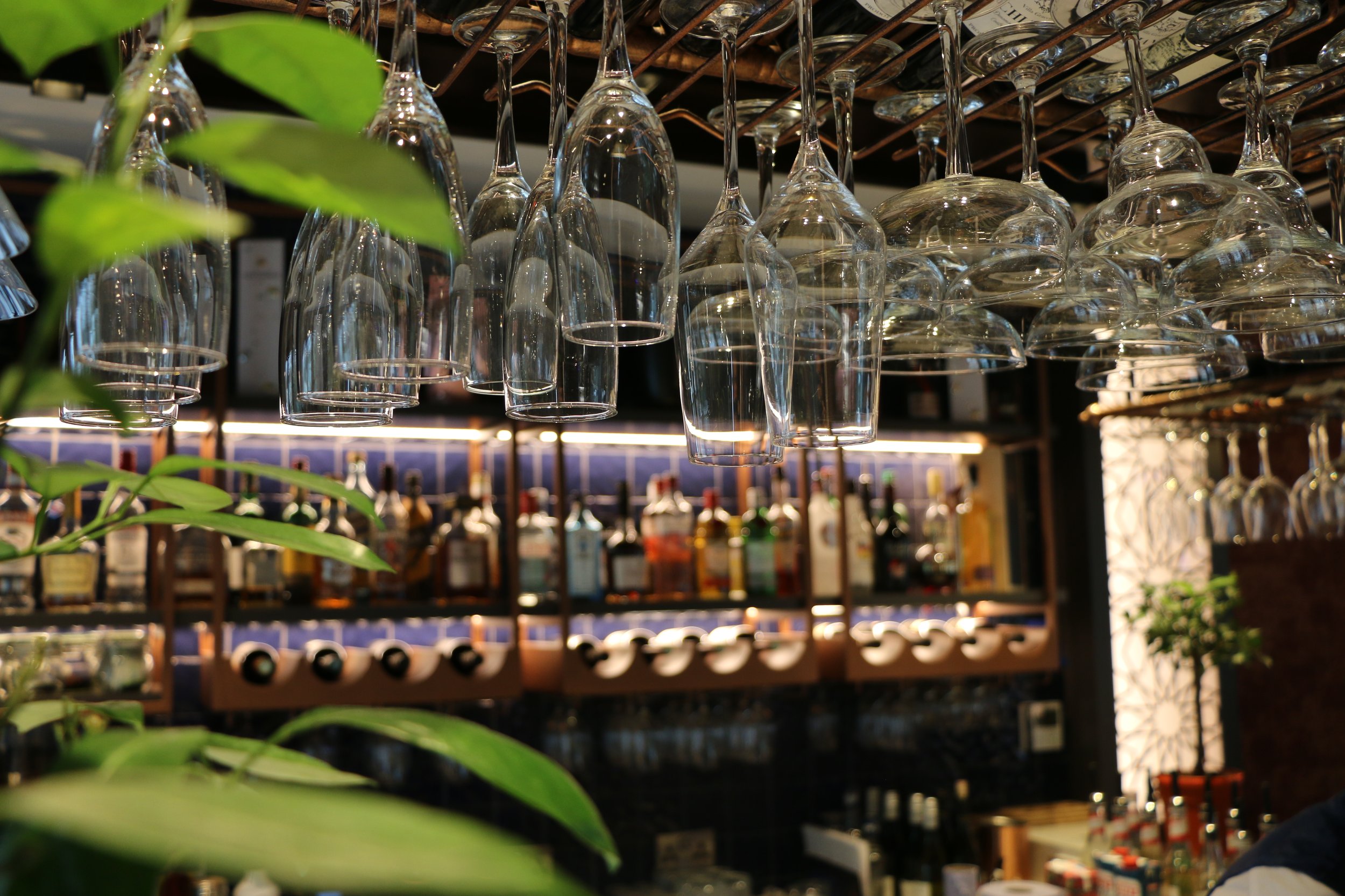 Gallery — Mavi Ruya Turkish Bar & Grill