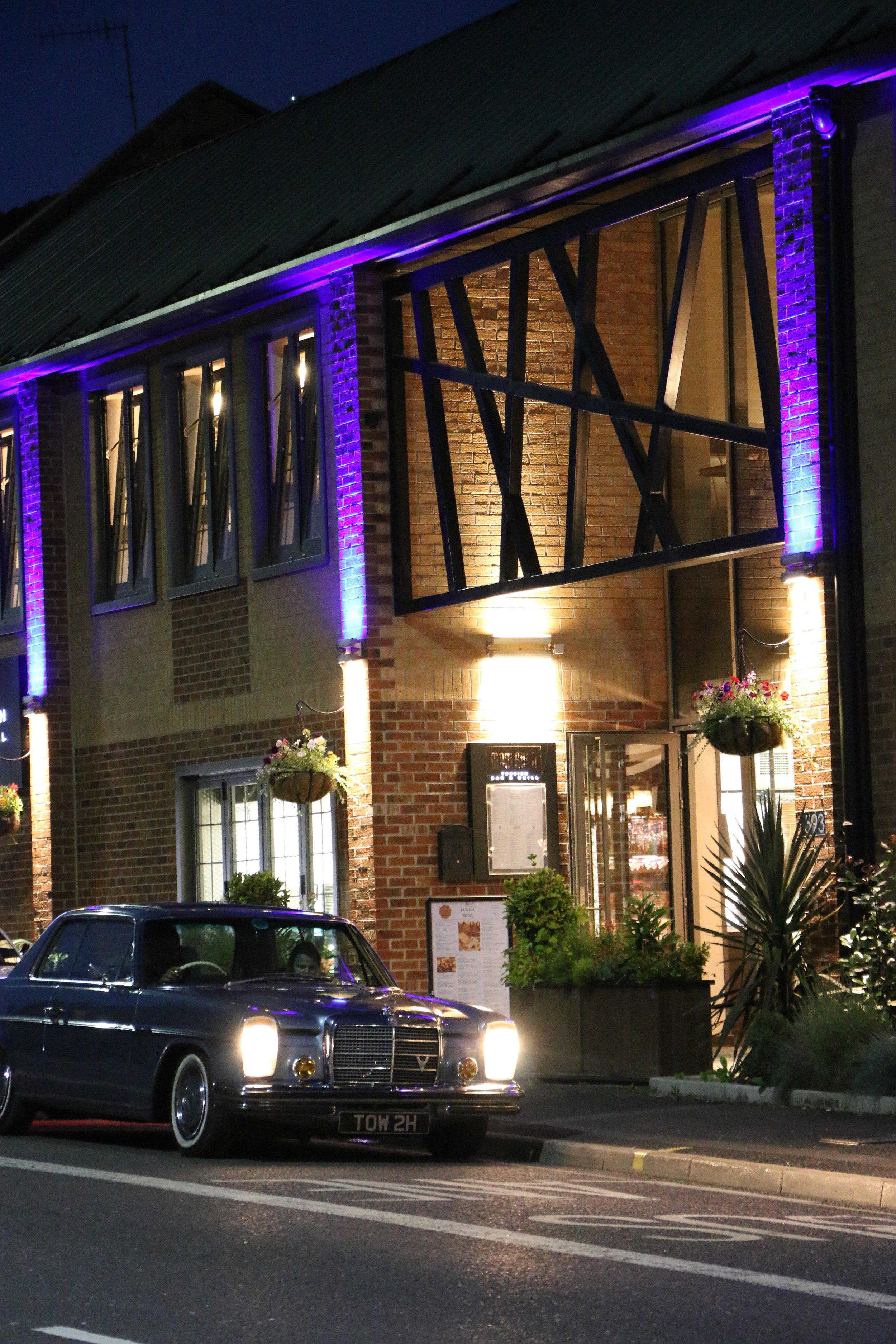 Gallery — Mavi Ruya Turkish Bar & Grill