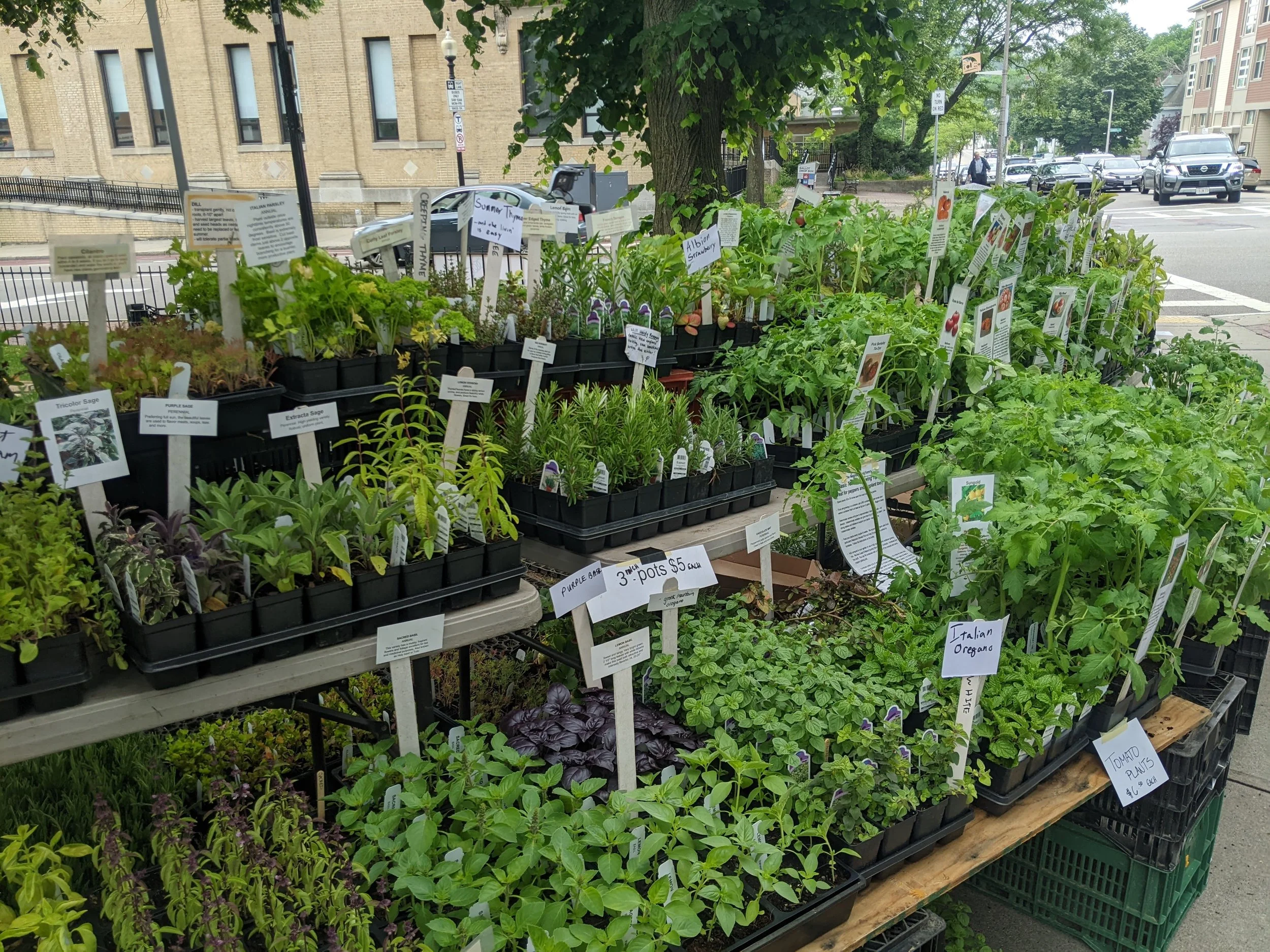 The Neighborhood Farm