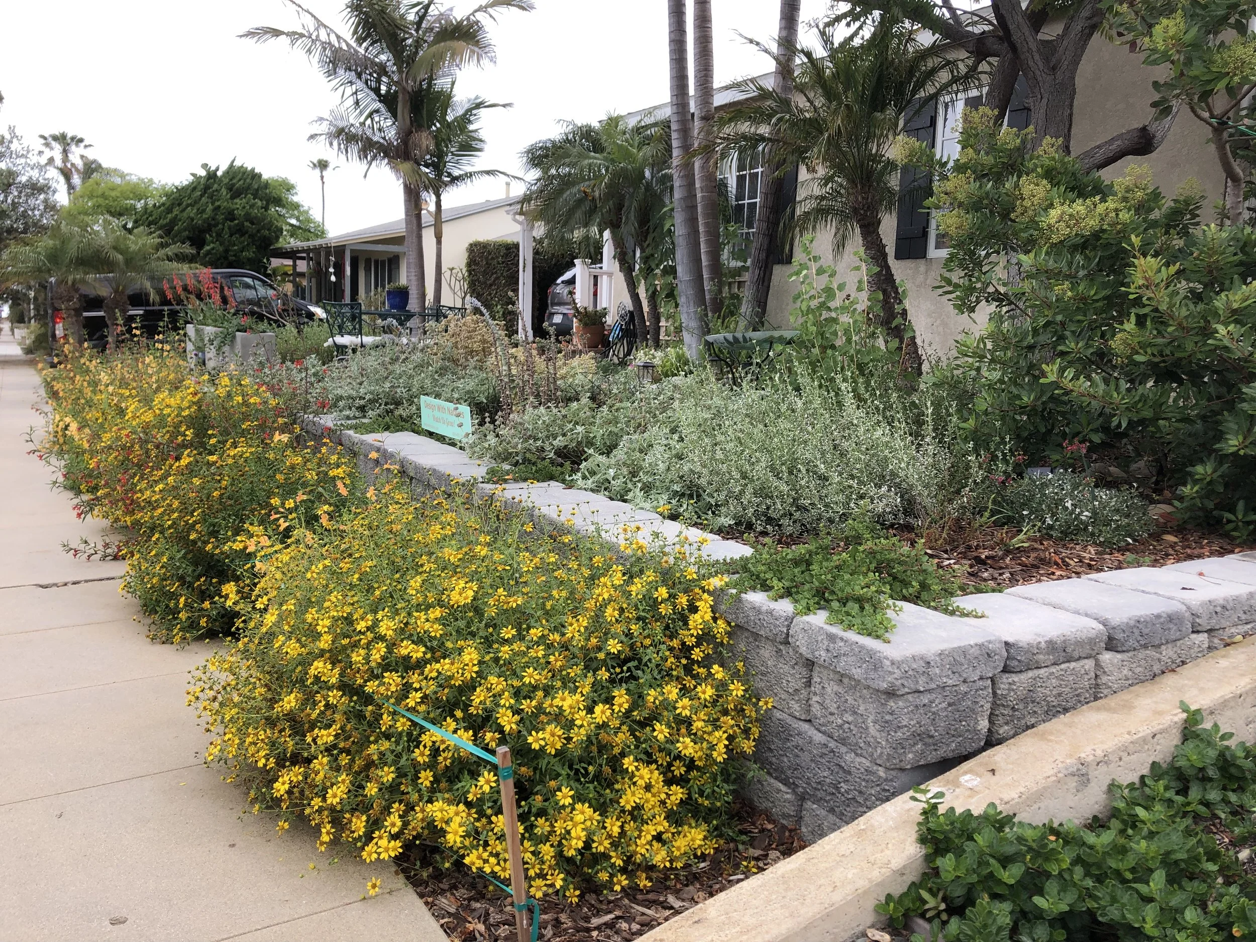 Landscape Designers — Native West Nursery - California Native Plants