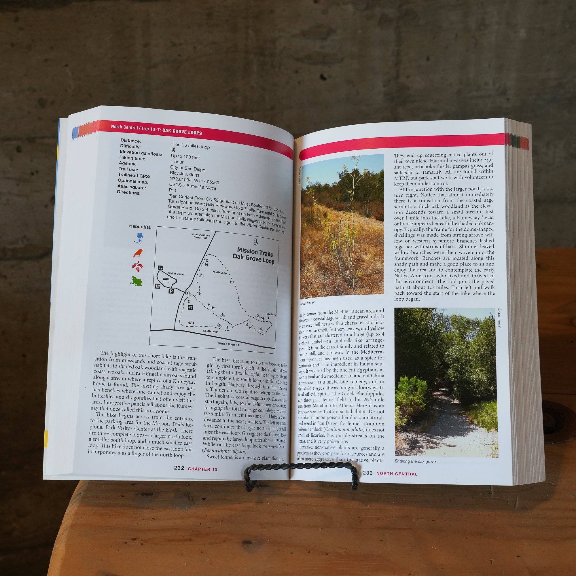 Dudleyas by Jeremy Spath, Kelly Griffin, and Jeff Moore - Book — Native ...