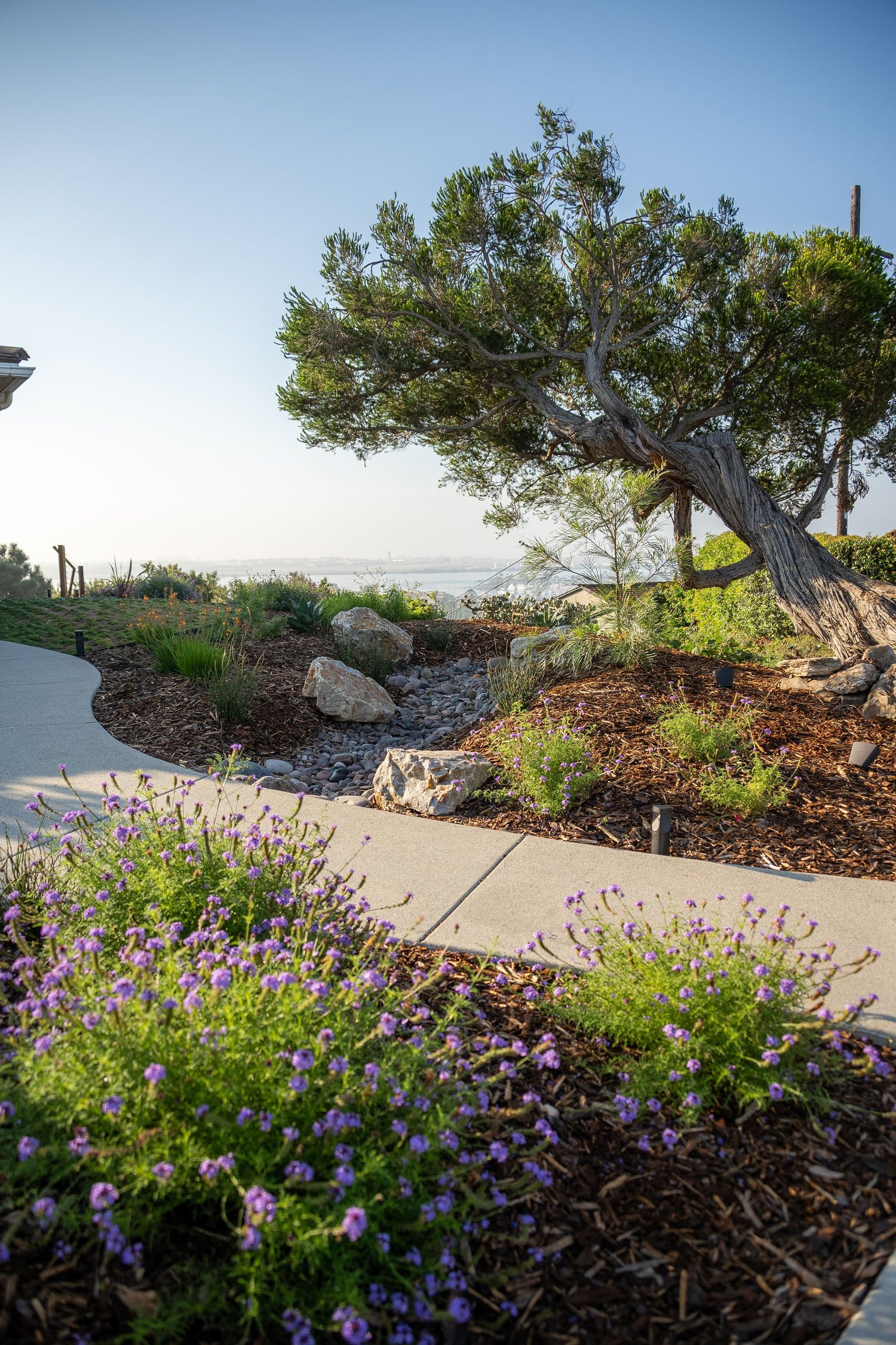 Landscape Designers — Native West Nursery - California Native Plants