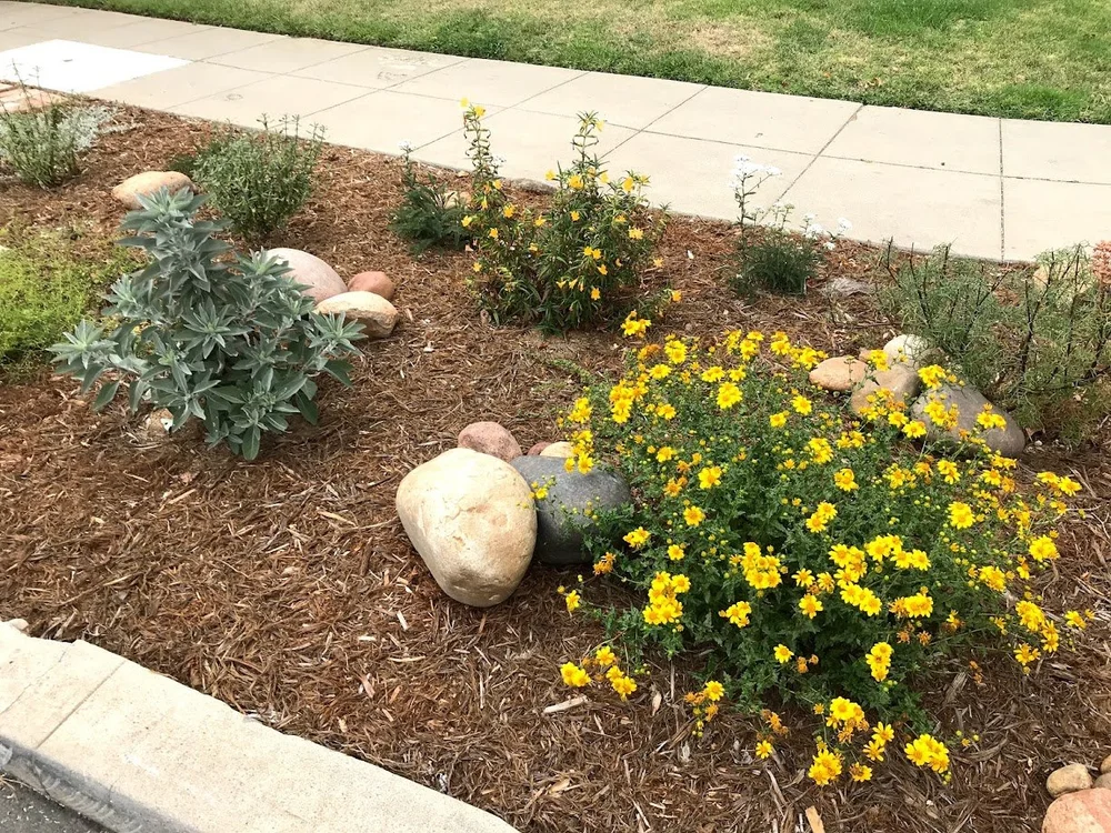 Mulch — Native West Nursery - California Native Plants