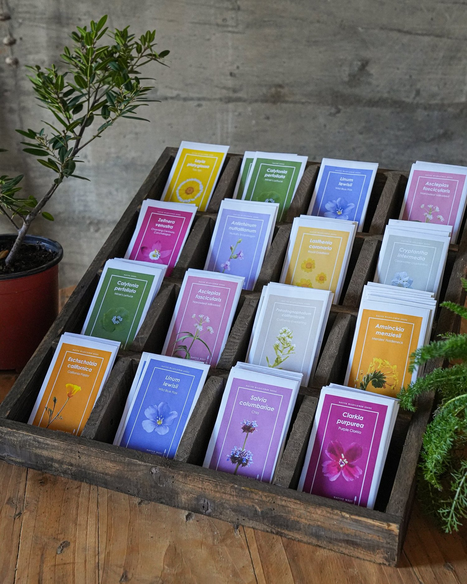 Store — Native West Nursery - California Native Plants