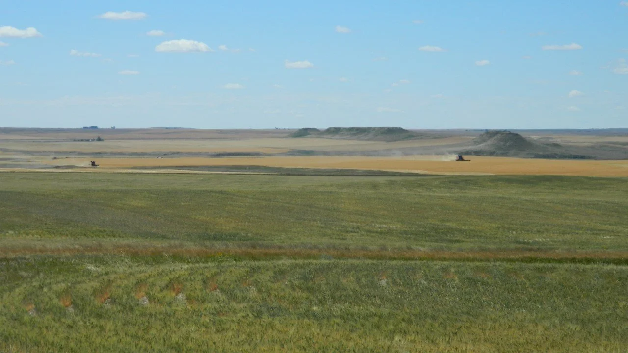 County Boards — Daniels County, Montana