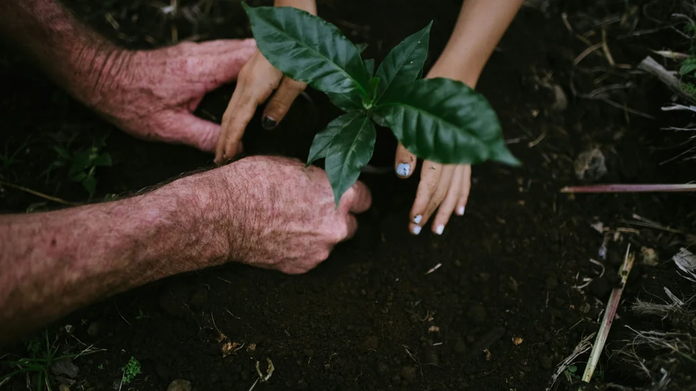 Green Burials: Eco-Friendly Ways to Bury Your Body — The Death Network