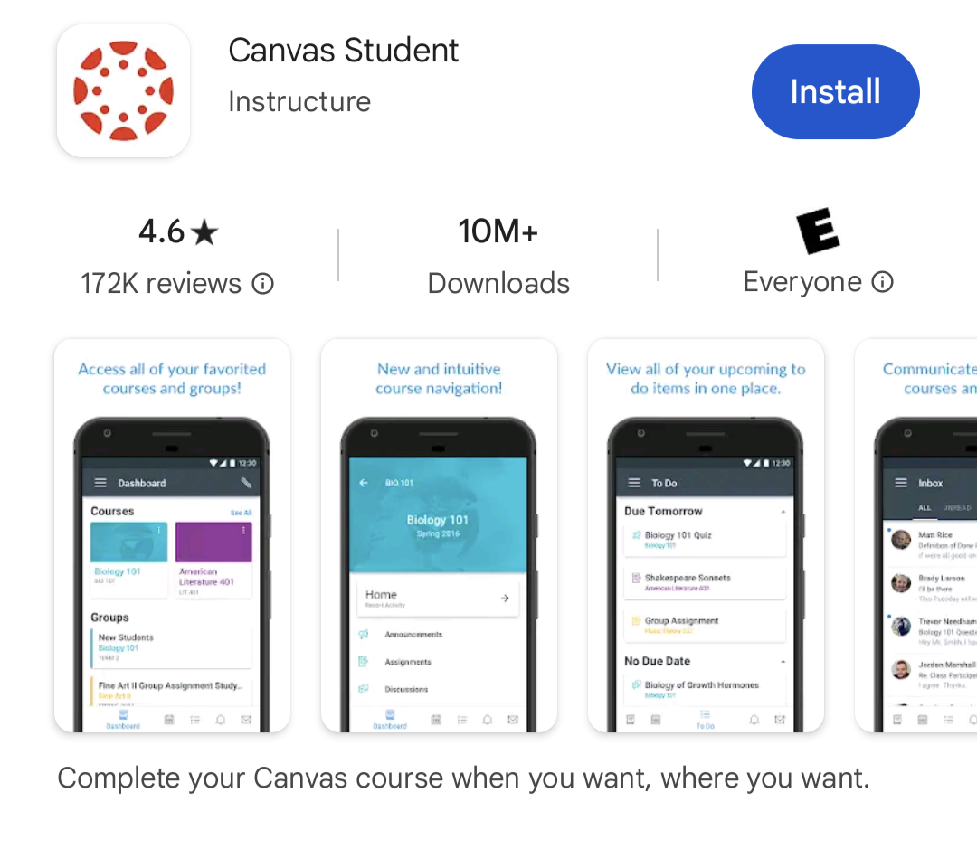 Canvas Login — The River Academy
