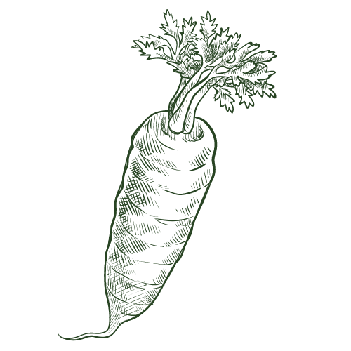 Cluny Farms - Cluny Hutterite Colony - Alberta