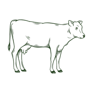 Cluny Farms - Cluny Hutterite Colony - Alberta