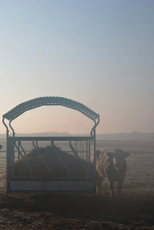 Cluny Farms - Cluny Hutterite Colony - Alberta