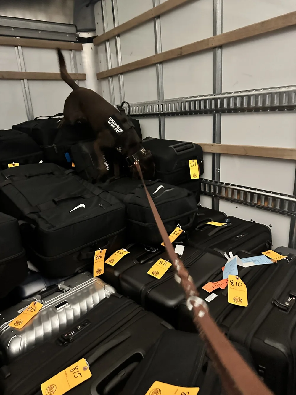 PDX BOMB DOGS: EXPLOSIVES, FIREARMS, NARCOTICS, CONTRABAND DETECTION K9s