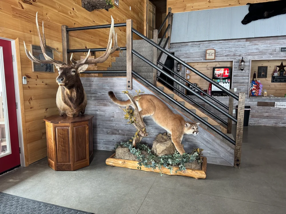 General 5 — Double D Ranch