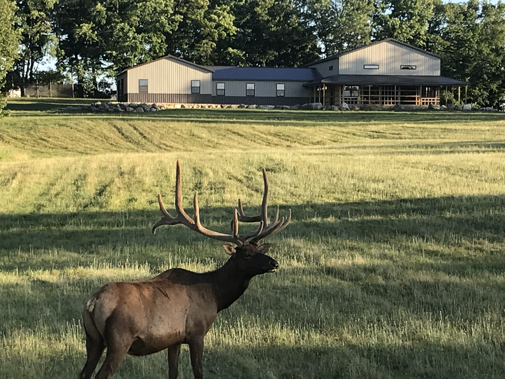 About 5 — Double D Ranch