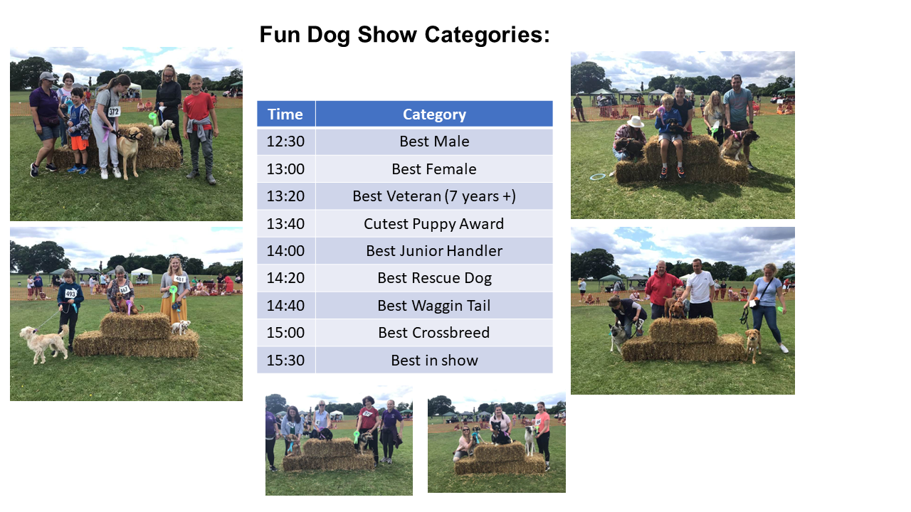 Merton Dog Watch Live — Merton Charity Events