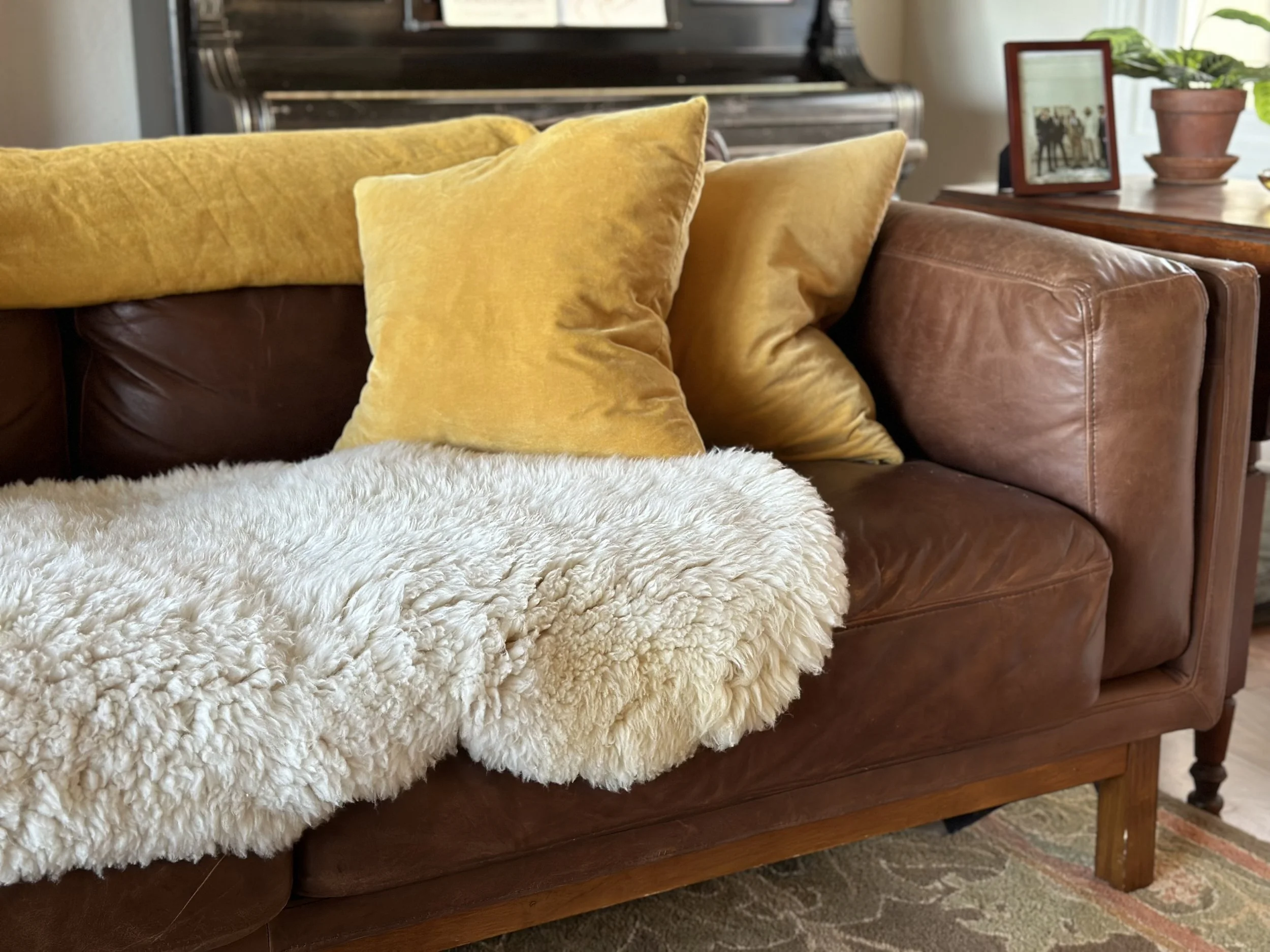 Shop lamb & hides — TALBOTT LAMB & HIDE CO.