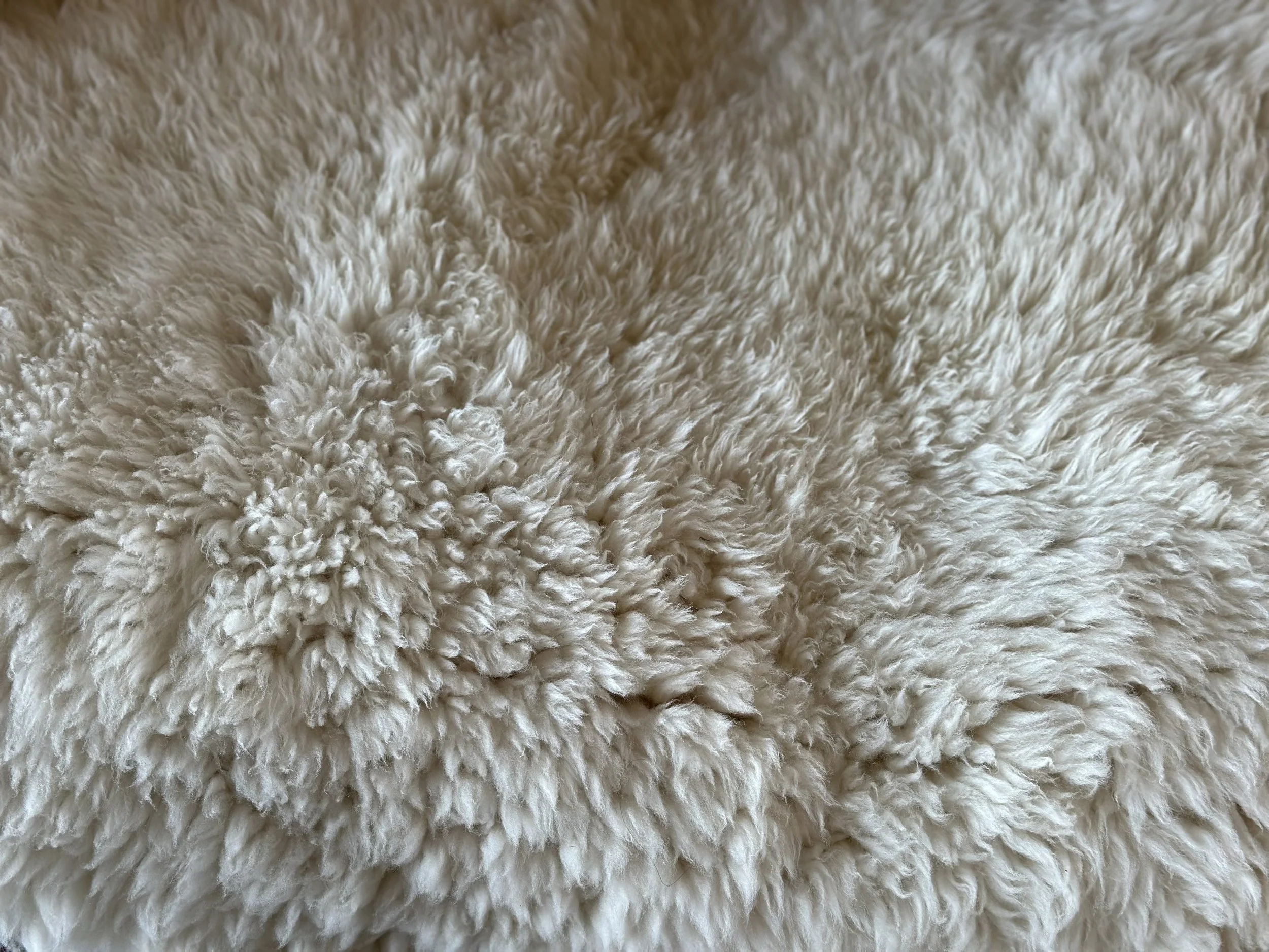 Shop lamb & hides — TALBOTT LAMB & HIDE CO.