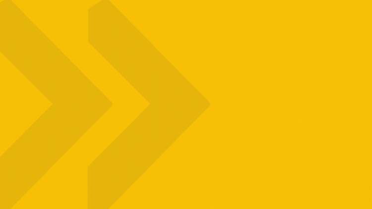 The Power of a Champion: How Leaders Unlock Potential and Drive Growth ...