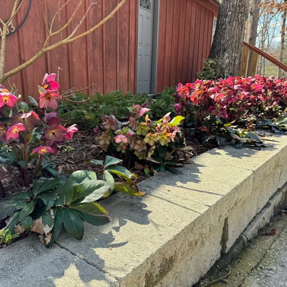 Key Elements Of Professional Landscape Design And Construction — Rooted ...