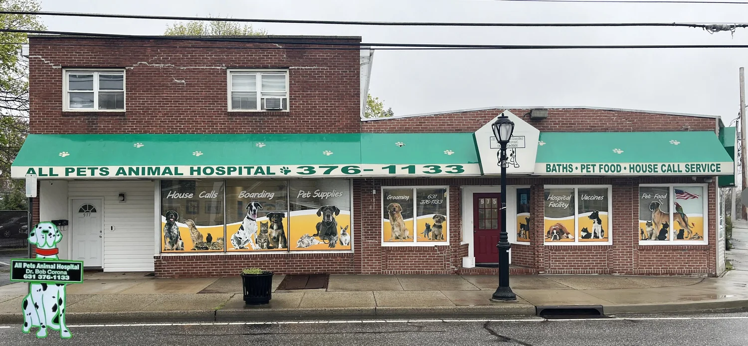 All Pets Animal Hospital