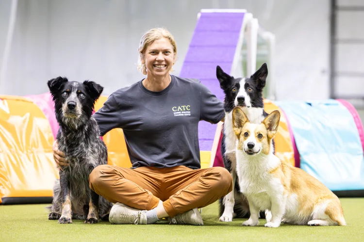 CATC | Dog Sports Trainers in Boulder County