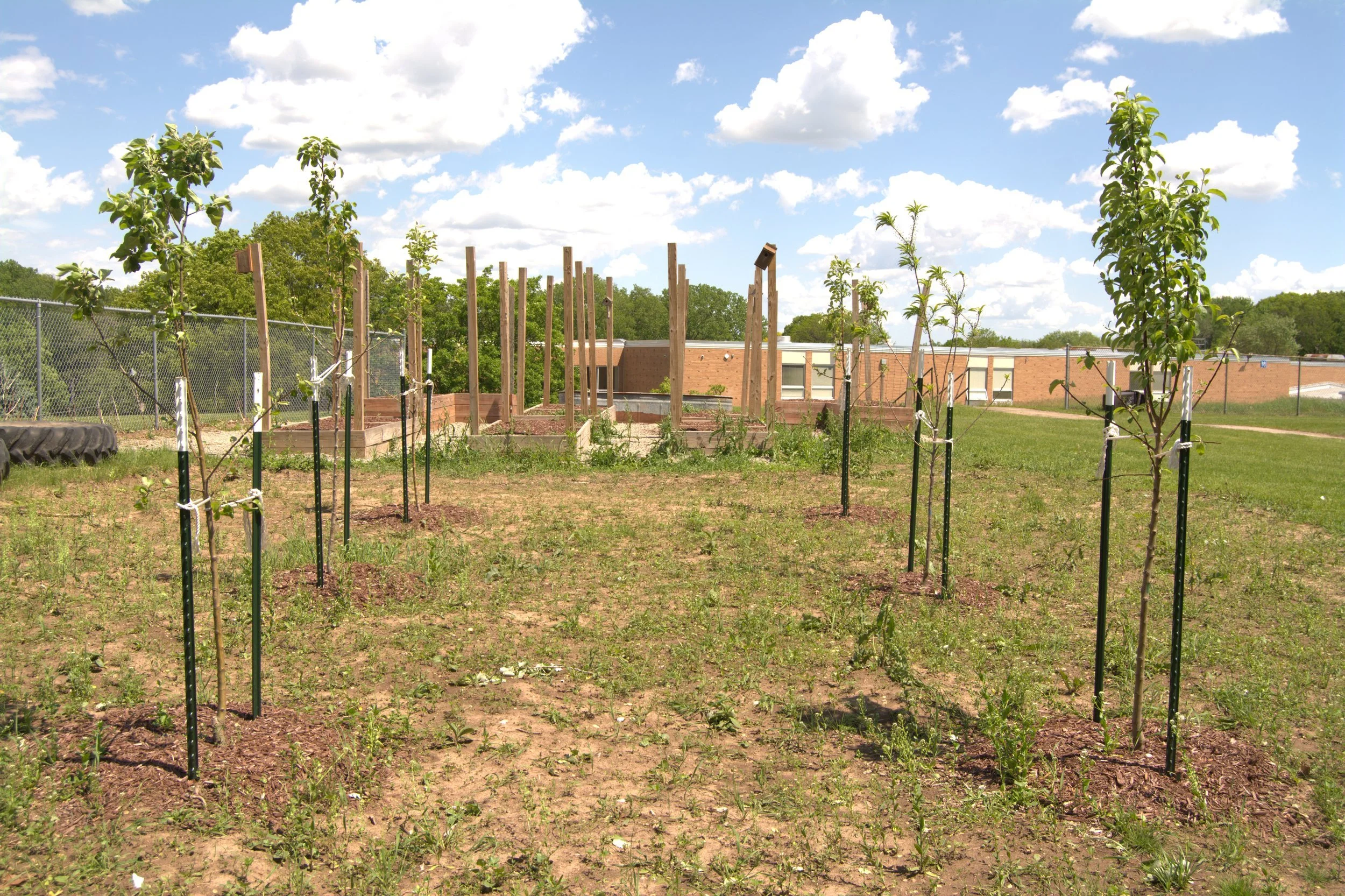 Community Orchards — New Leaf Foods