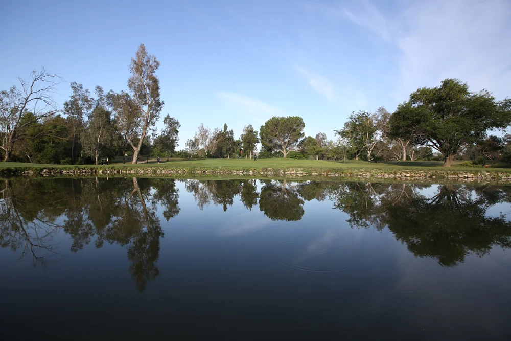 Chino Creek — El Prado Golf Courses