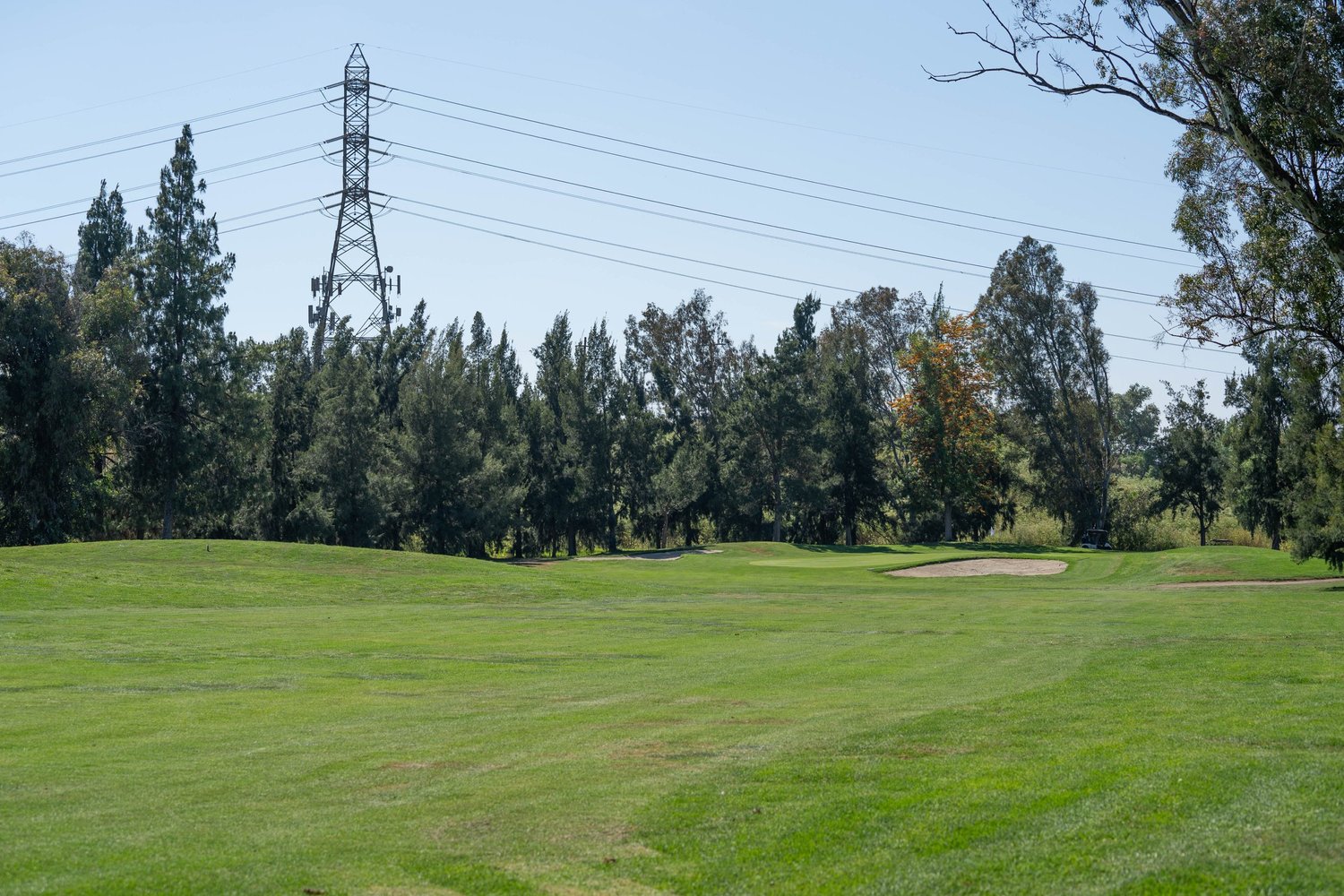 Chino Creek — El Prado Golf Courses