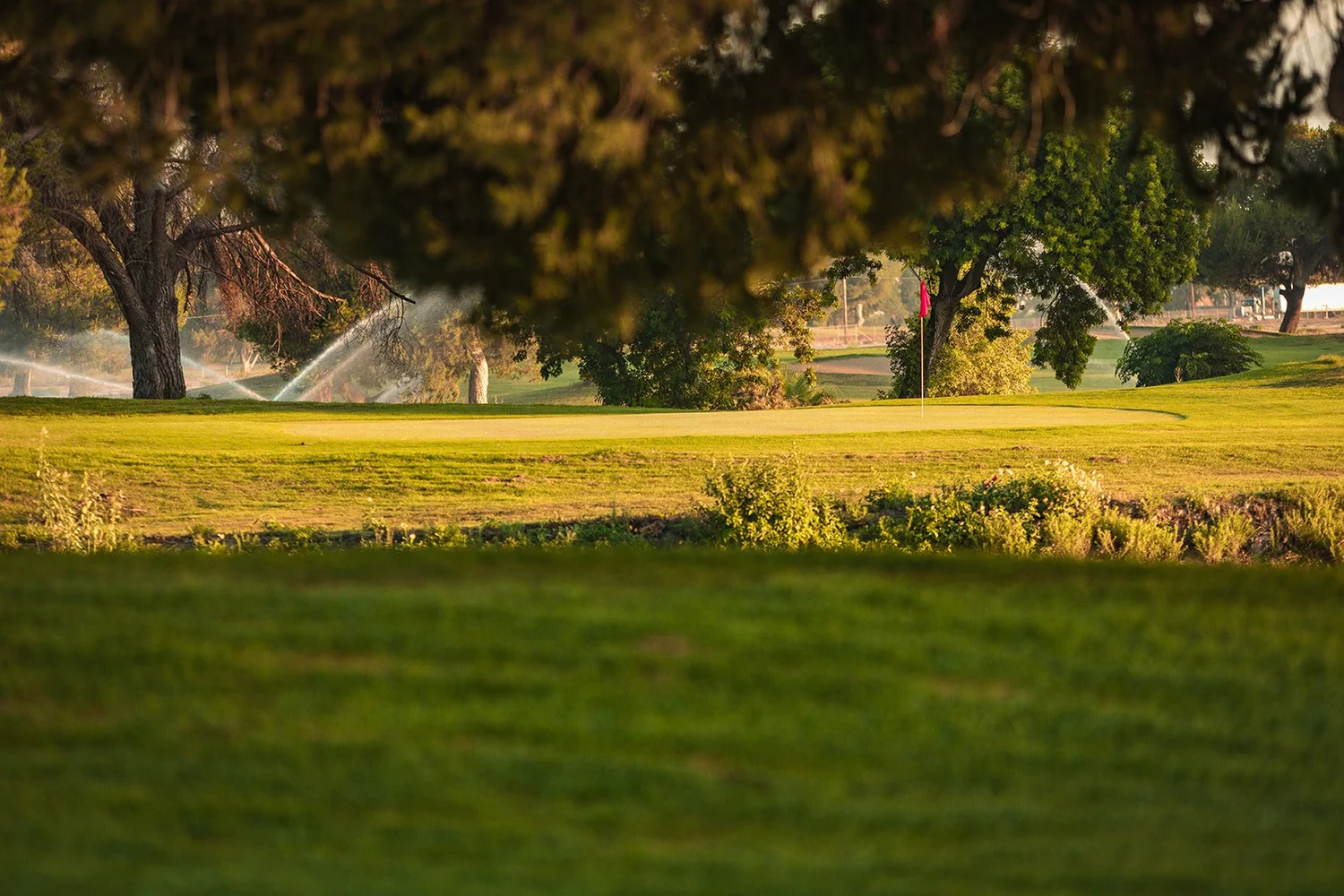 Clubs — El Prado Golf Courses