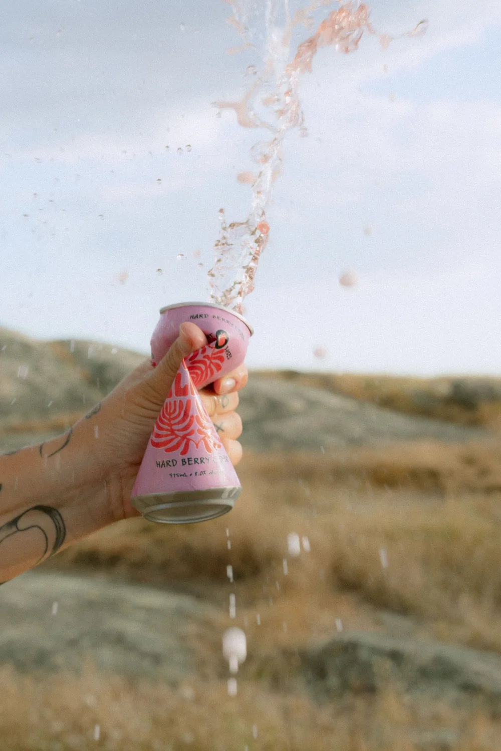 Hard Berry Cider — Wildah