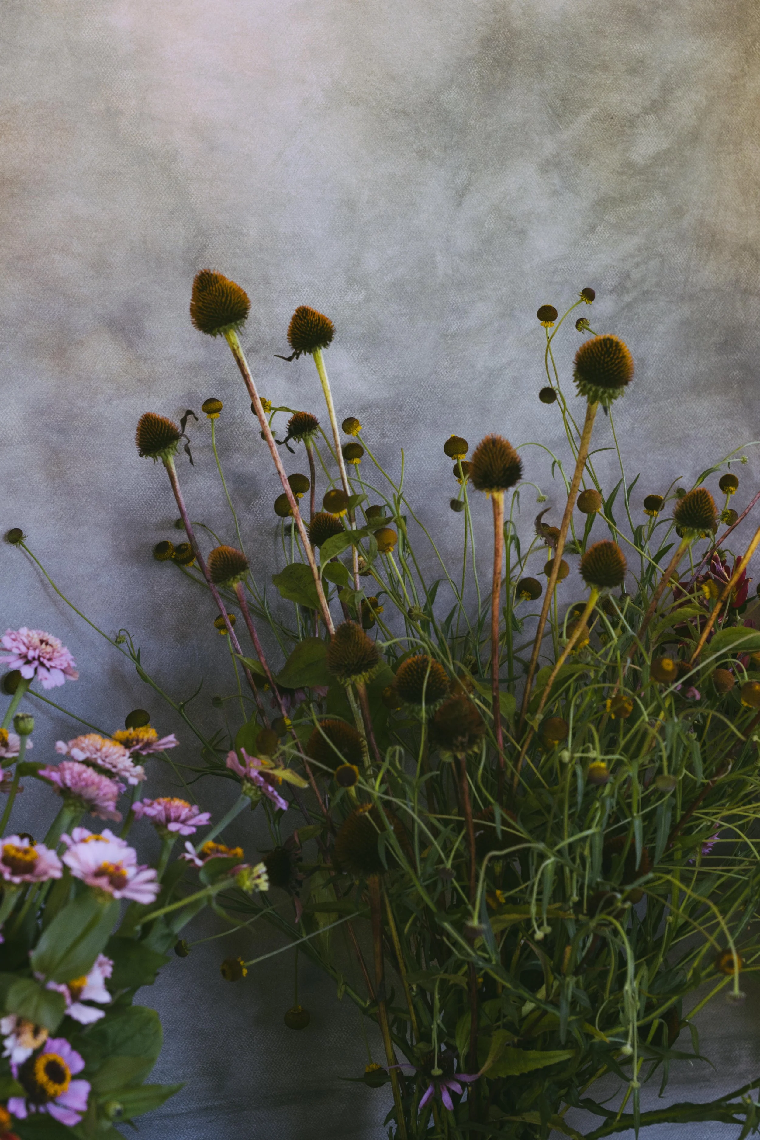 Upcoming Courses — The Wildflower School