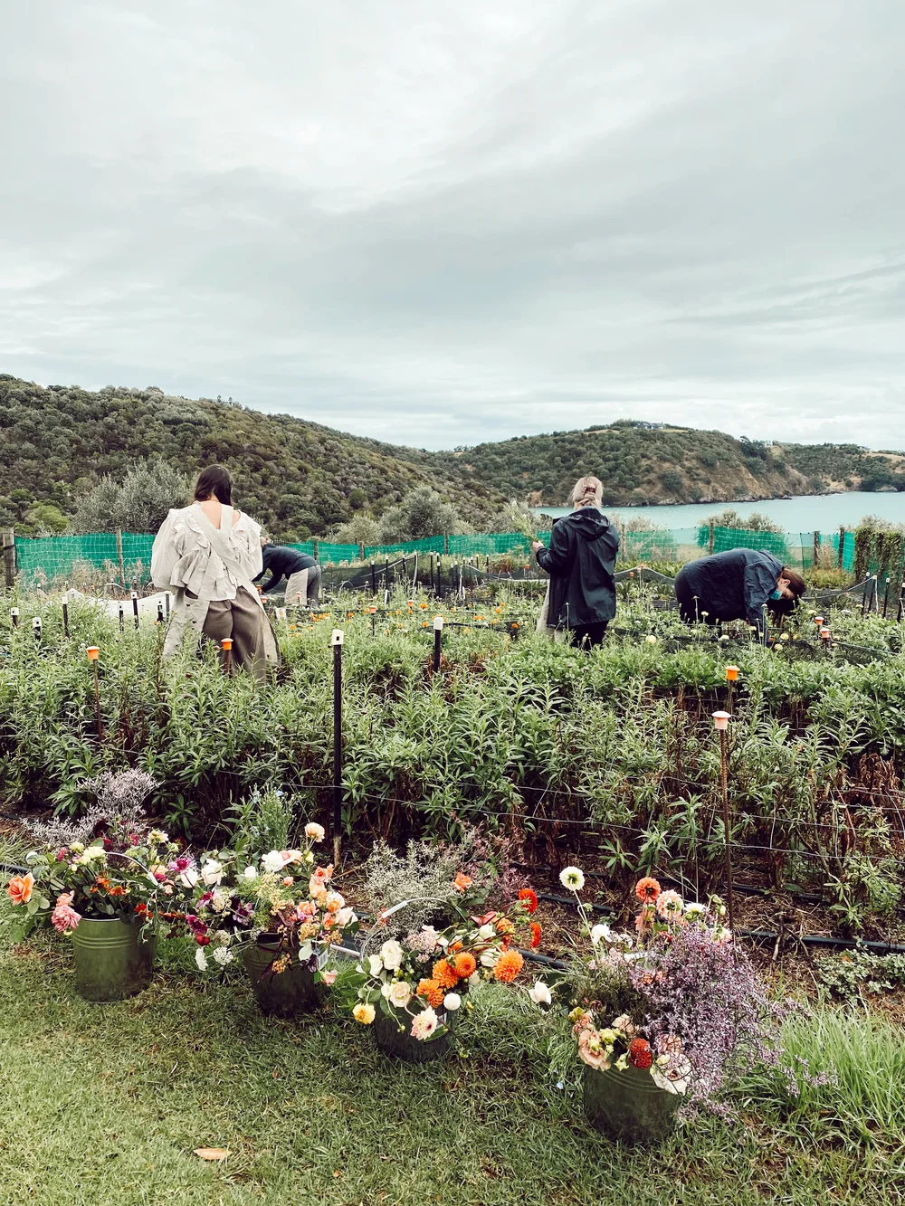 The Wildflower School - Floral Design Career Courses and Workshops
