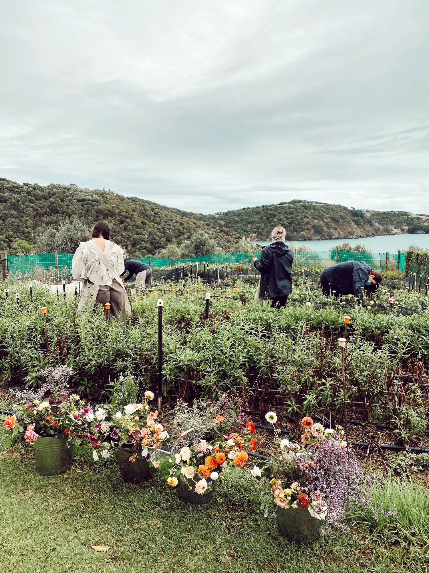 The Wildflower School - Floral Design Career Courses and Workshops