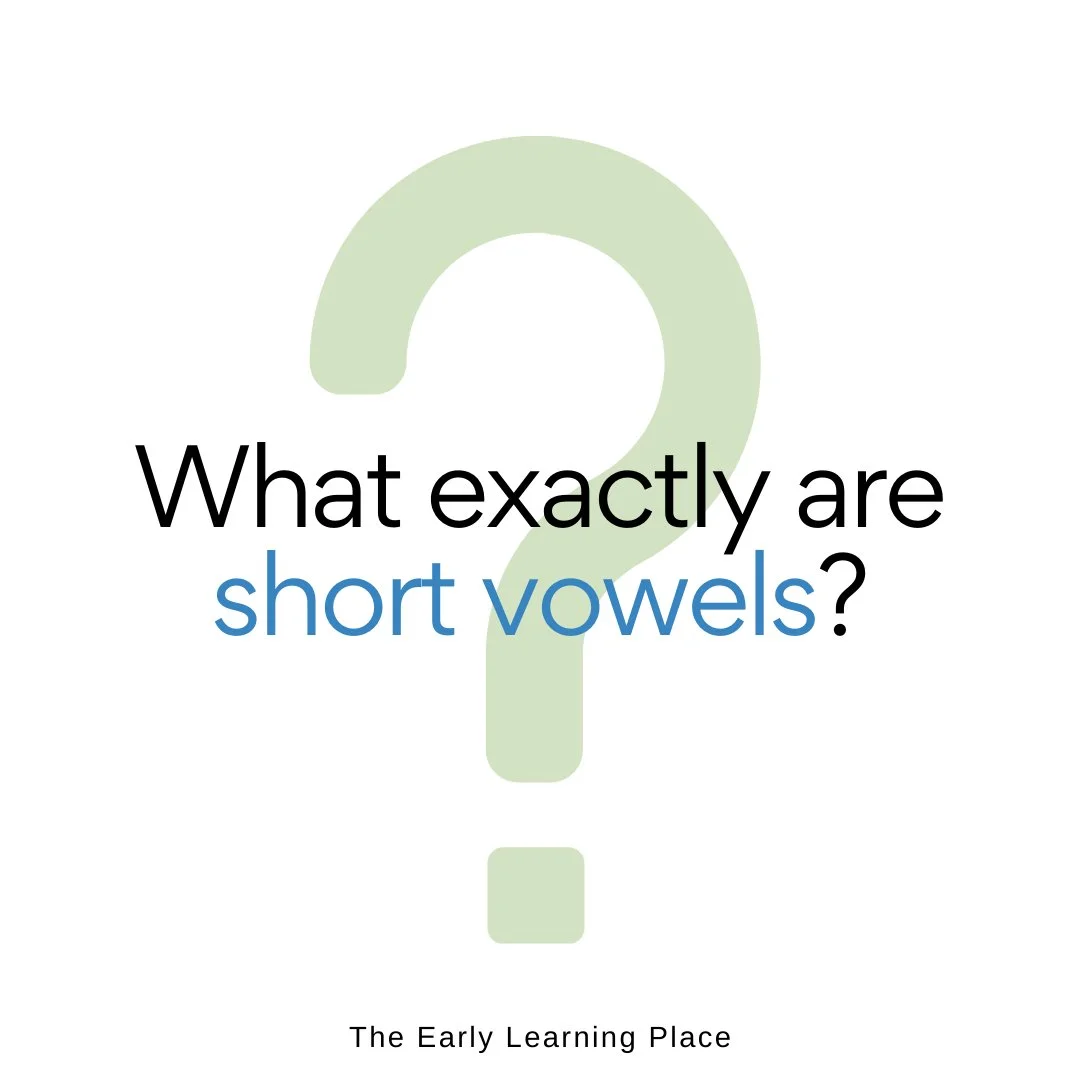 Why Vowels and Consonants Matter for Your Child's Reading Success — The ...