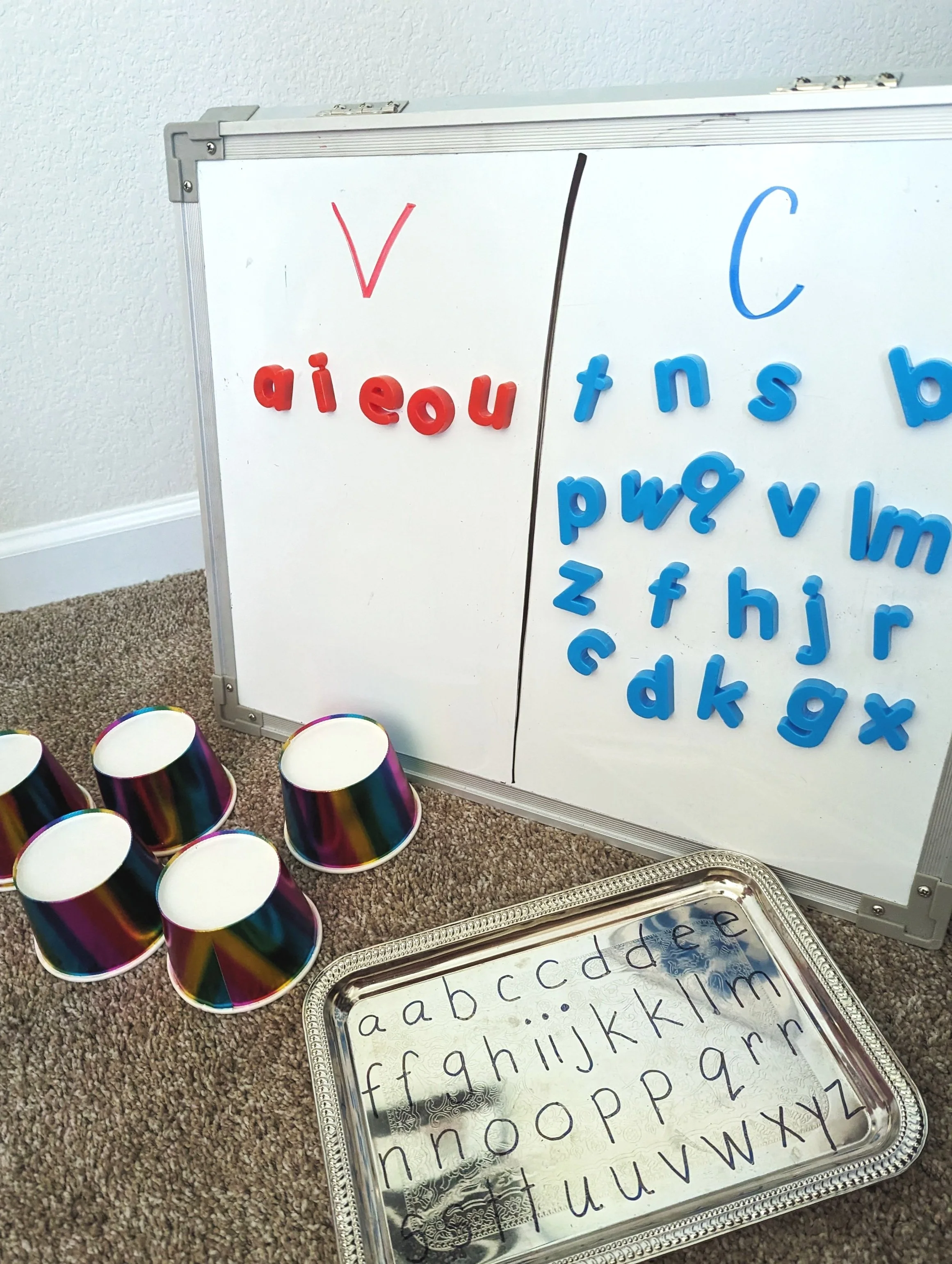 Why Vowels and Consonants Matter for Your Child's Reading Success — The ...