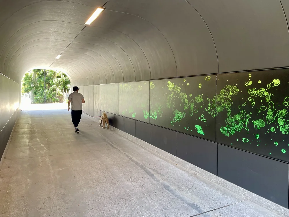Sydney’s GreenWay Trail is open: A Major Step for Active Transport and ...