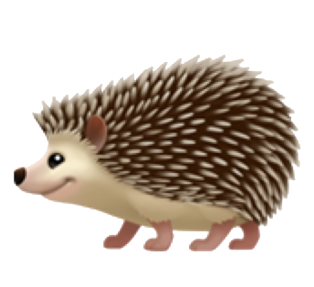 Program — SARPcheck