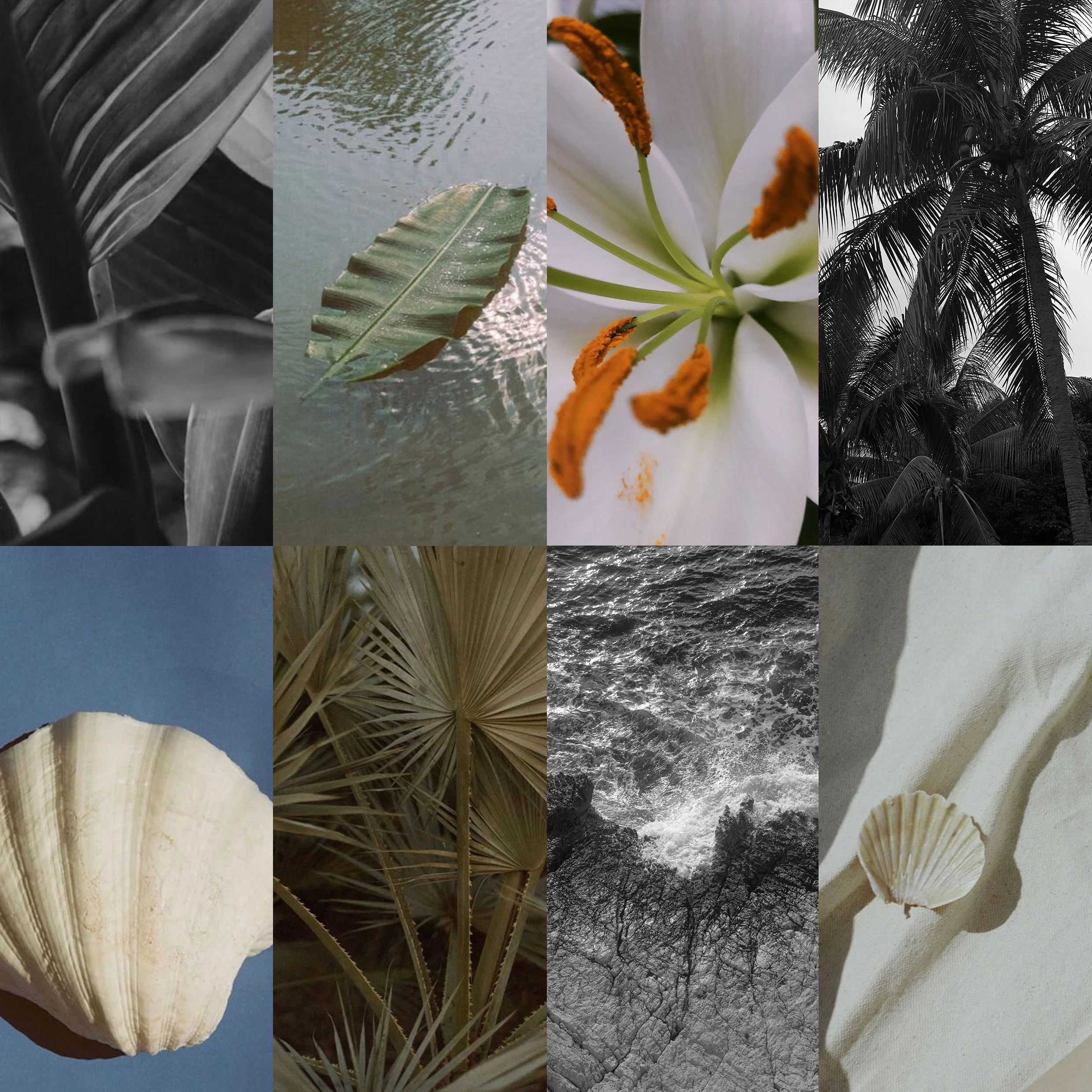 Rose Agency I Branding & Web design studio