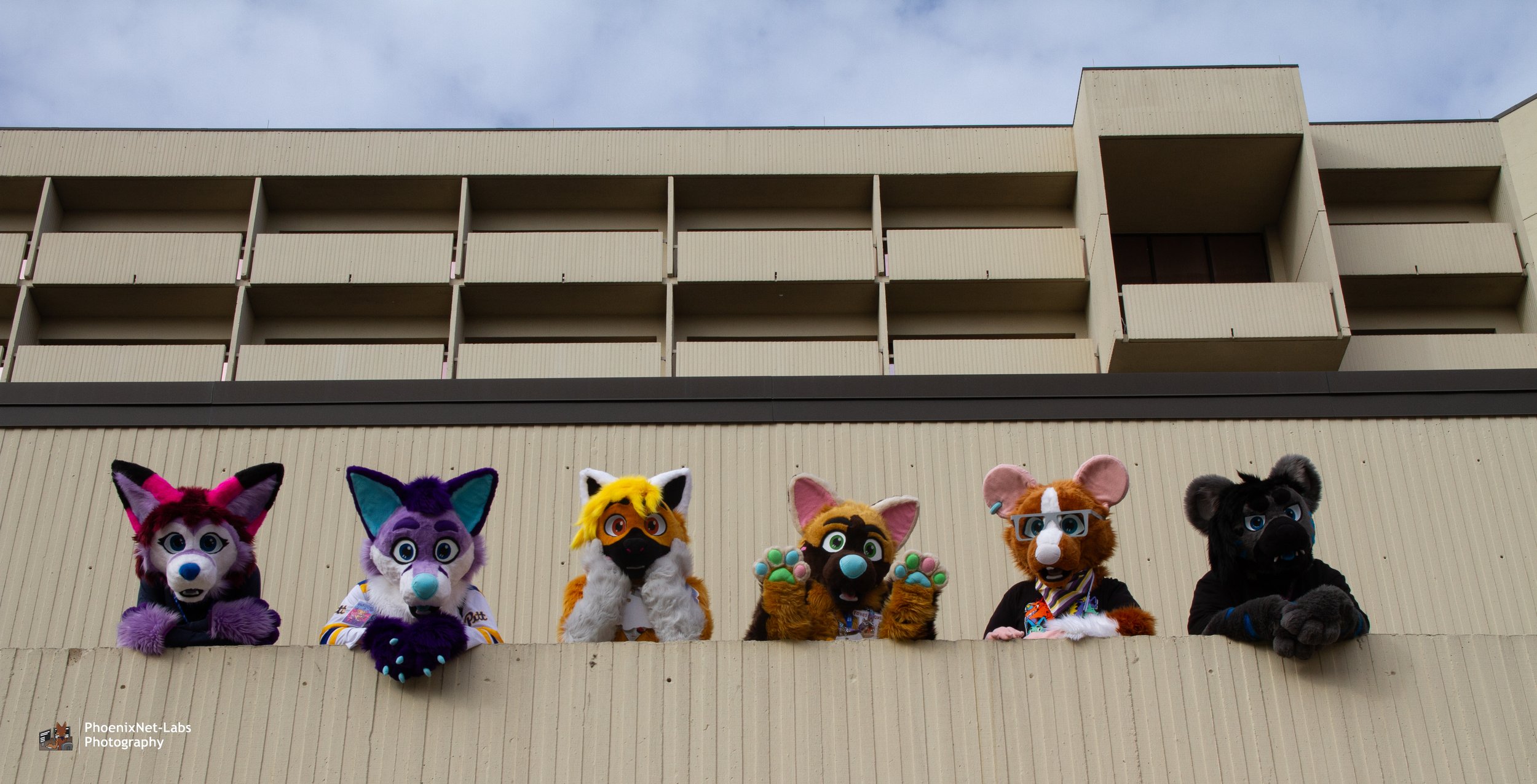 Foxes in Boxes Fursuits