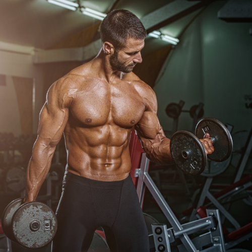 Viking Fitness Company