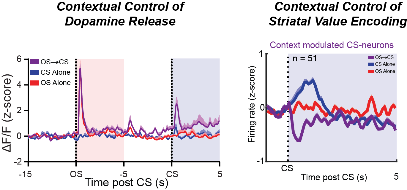 Research — Fraser Lab
