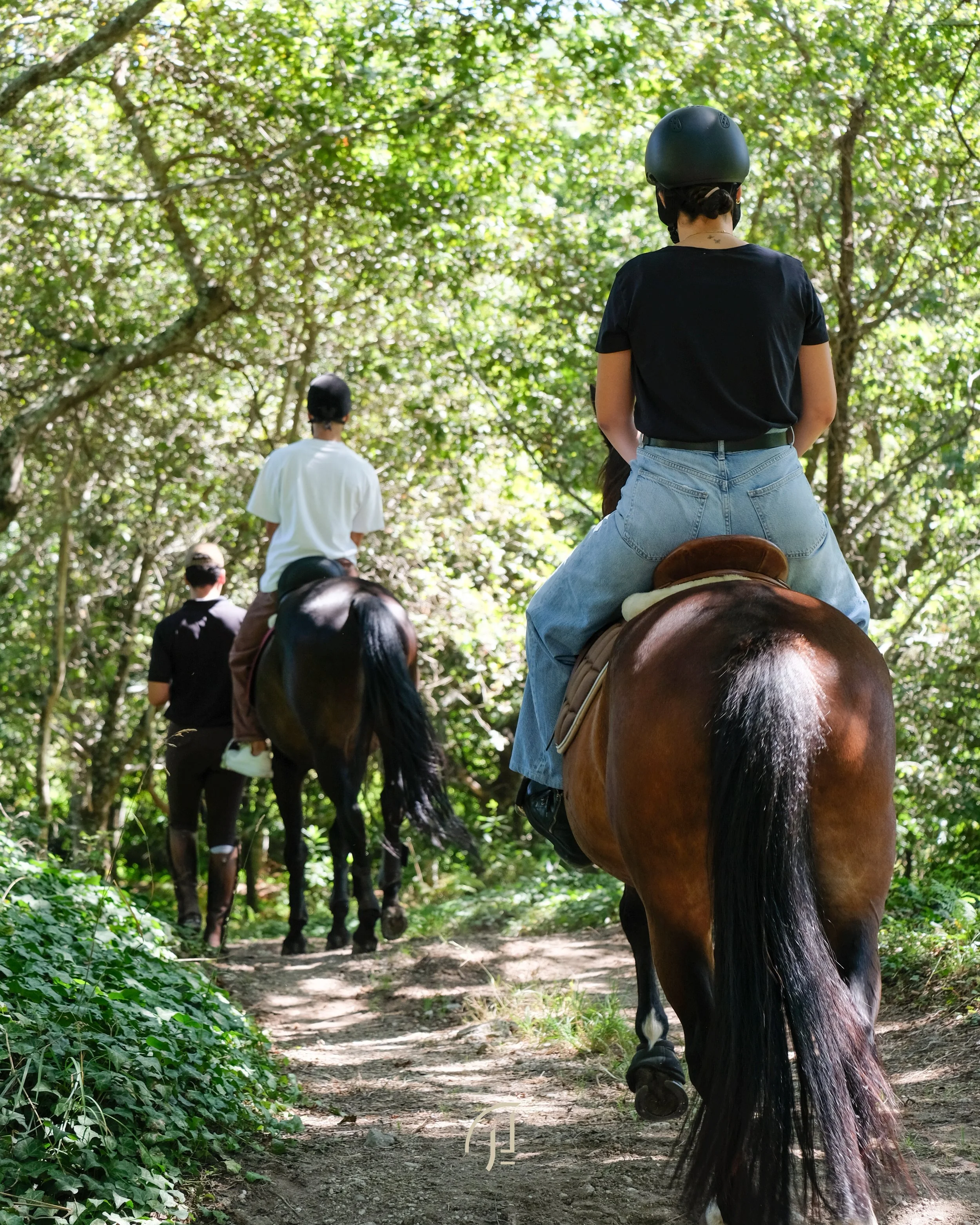 Contact — Equus Otium