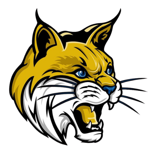 I.S. 98 The Bay Academy