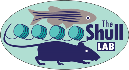 General 2 — The Shull Lab