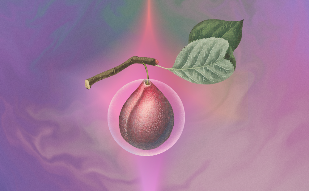 Your intuitive brains: heart brain — Megan Caper: Medical Intuition and ...